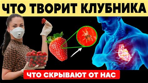 Вот что творит КЛУБНИКА с Организмом 99 людей даже НЕ ЗНАЮТ об этом Youtube