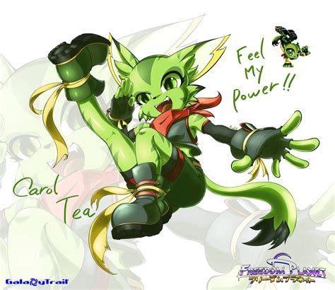 Freedom Planet Carol Tea Fanart By Anrock3