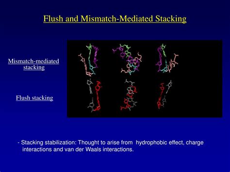 Ppt Predicting Coaxial Stacking By Free Energy Minimization Powerpoint Presentation Id 3334345