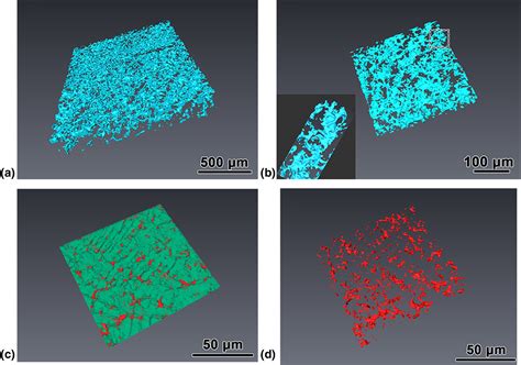 Three Dimensional Analysis Of Dendrites Via Automated Serial Sectioning Using A Robo Met3d