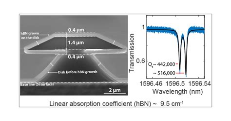 Demonstration Of Hybrid High Q Hexagonal Boron Nitride Microresonators