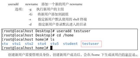56linux 进程管理命令和用户管理命令动态监控yy用户的所有进程命令是 Csdn博客