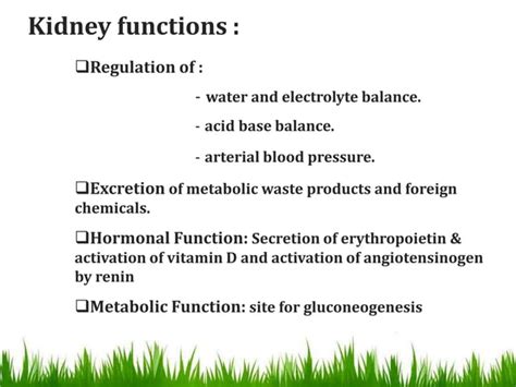 Organ Function Tests Pptx