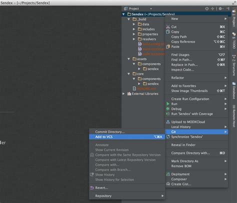 Git Basics And The First Commit Of A Component On Github Creating Components Modx Documentation