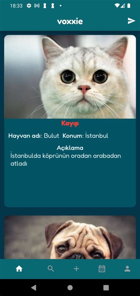 do simple mobile app with flutter by onurcanisik fiverr