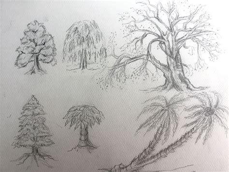 Examples Of Tree Drawings How To Draw Realistic Trees Ran Art Blog