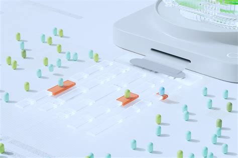 Hire Dot Net Developers Scalable Net Core Development Services Cabot