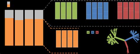 Snp Filtering Parameters Affect Preferentially Snps Segregating At Low
