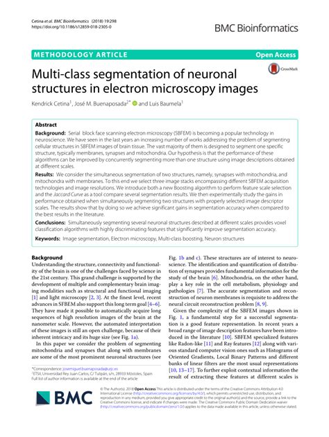 Pdf Multi Class Segmentation Of Neuronal Structures In Electron Microscopy Images