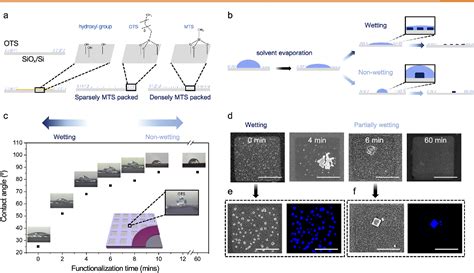 Figure 2 From Two Step Patterning Of Scalable All Inorganic Halide Perovskite Arrays Semantic