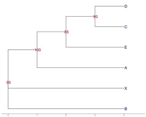 Root X Hosted At ImgBB ImgBB