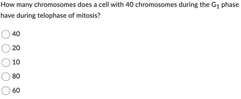 Solved Which Checkpoint Likely Failed If A Eukaryotic Cell