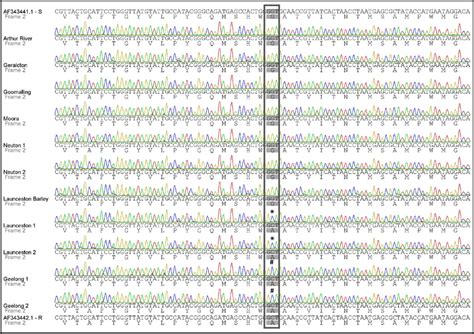 multiple sequence alignment of the cytb gene sequence and its