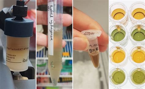 Smartreactors Tuhamburg Tuhh Technischistdasmöglich Biocat2024 Institute Of Technical