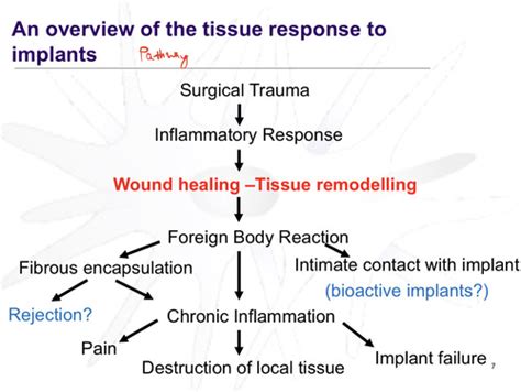 Lecture 3 Tissue Response To Biomaterial Implants Flashcards Quizlet