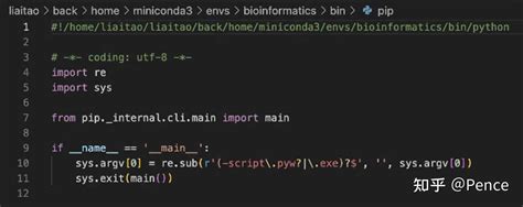 【已解决】bug20 Xxxpip Xxxpython Bad Interpreter No Such File Or