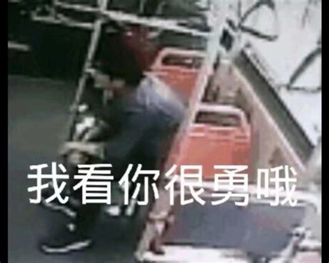 在死亡的边缘疯狂试探 斗图 表情包 高清图片堆糖美图壁纸兴趣社区