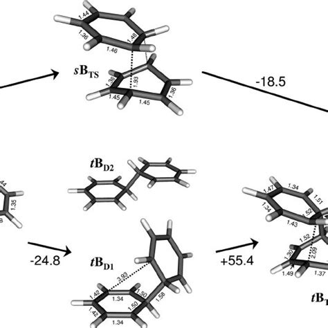 Minimal Energy And Transition State Structures Involved In The Da