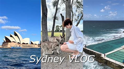 🇦🇺 2 시드니 브이로그 2탄ㅣ시드니에서 일주일ㅣ호주 여행ㅣ카페 와인 오페라 캥거루 쿼카ㅣsydney Vlogㅣtravel Youtube