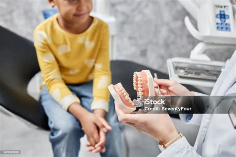 여성 치과의사가 치아 모델을 들고 아이와 이야기하는 모습 20 24세에 대한 스톡 사진 및 기타 이미지 20 24세 2명 4 5세 Istock