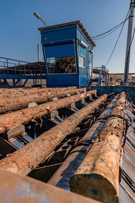 round timber logs preparation sorting processing at sawmill wheel loader and automatic sorting