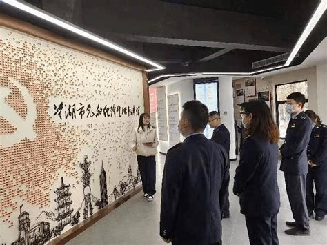 组织生活 县税务局第一税务分局党支部开展“重温党史，砥砺初心”主题党日活动现代化工作服务