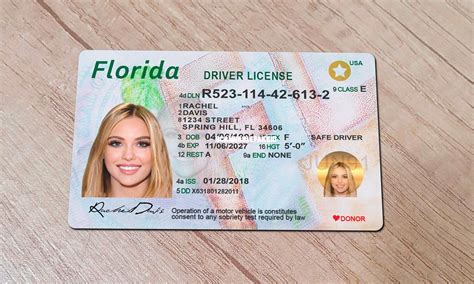 Driver License Florida Class E At Jonathan Stiefel Blog