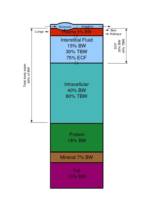 General And Cellular Basis Of Physiology