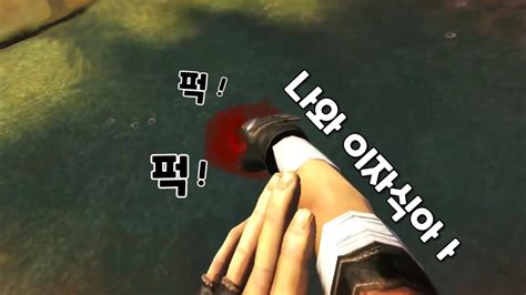 에임이슈로 감도 바꿨다 에이펙스 레전드 모바일【apex Mobile】 Youtube