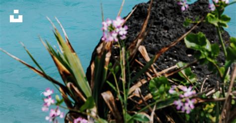 절벽 옆 바다에 떠 있는 배 사진 Unsplash의 무료 파랑 이미지