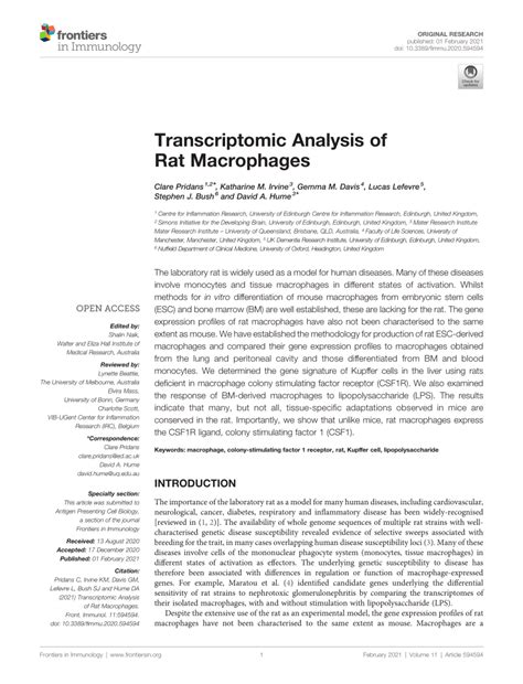 Pdf Transcriptomic Analysis Of Rat Macrophages