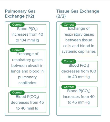 Summary Flashcards Quizlet