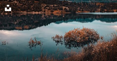 푸른 하늘 아래 호수 근처의 녹색과 갈색 잔디 사진 Unsplash의 무료 두혹 이미지