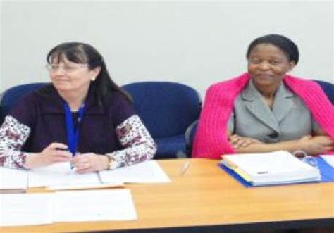 Implementation Of Sadc Regional Economic Integration Support Programme
