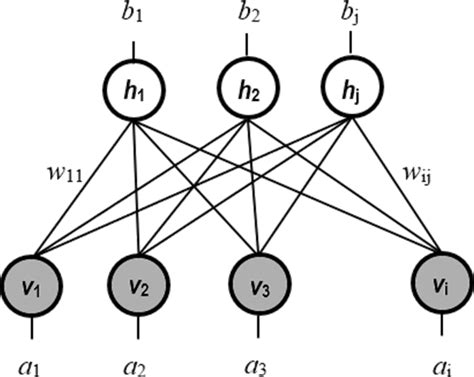restricted boltzmann machine with visible and hidden units download