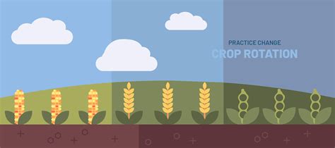Practice Change Crop Rotation