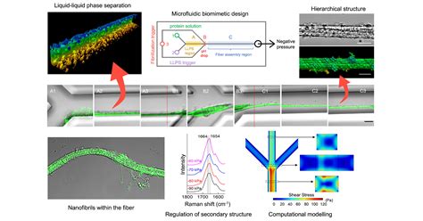 Dr Chen Jianming Publishes Revolutionary Spider Silk Research Work In