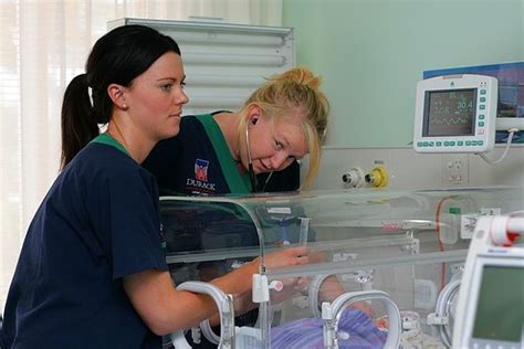 Nursing - Wikipedia