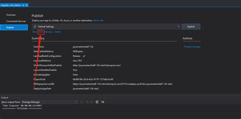 How To Publish Aspnet Core With Angular To Our Server