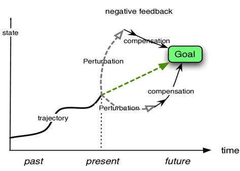 Goal Directedness Achieved Through Negative Feedback Deviations From