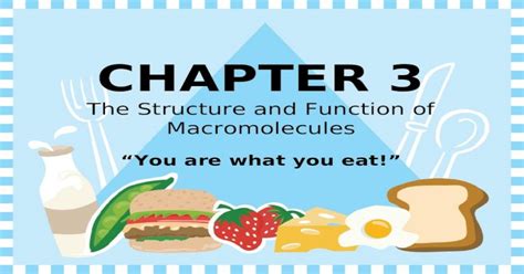 Ppt Chapter 3 The Structure And Function Of Macromolecules “you Are What You Eat ” Dokumen Tips