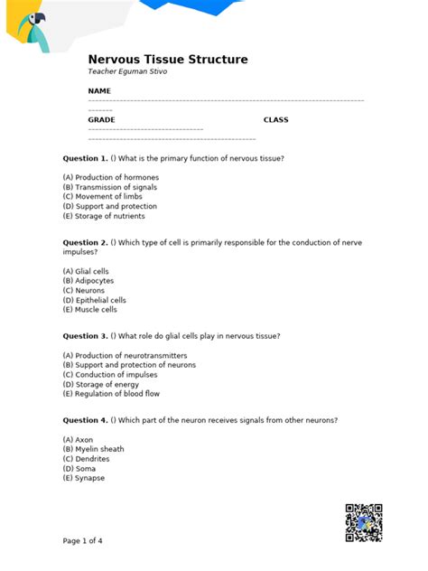 Nervous Tissue Structure Pdf Nervous System Neuron