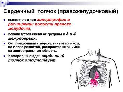 Обследование больных с патологией органов кровообращения Опрос Осмотр Пальпация Перкуссия