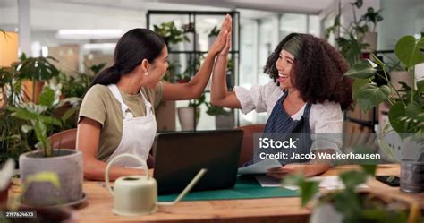 하이파이브 노트북 및 온라인 주문과 식물 종묘장에서 여성과 함께 꽃 판매의 성공을 위해 예산 축하 행사 및 컴퓨터 꽃집에서 행복한 플로리스트 팀과 함께 사무실 책상에서 목표