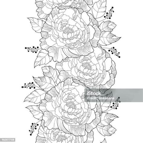 벡터 윤곽선 모란 꽃과 흰색 바탕에 검은색에서 화려한 잎 완벽 한 패턴입니다 0명에 대한 스톡 벡터 아트 및 기타 이미지 0명 개화 개화기 Istock