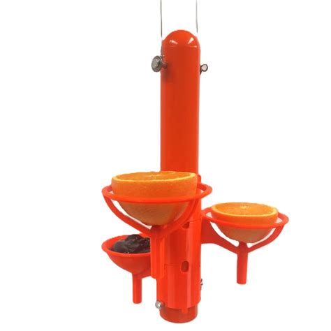 Oriole Feeder Etsy