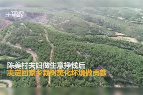 【河南】夫妻不顾家人反对在石头上种树 7年绿化300亩荒地 将家乡变青山