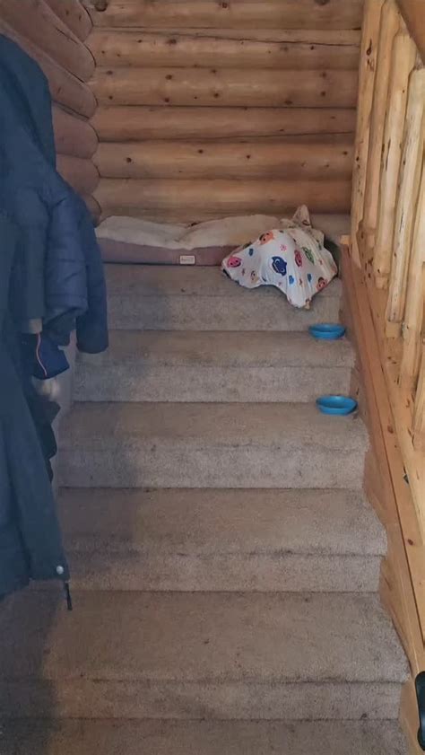 Noah Brown Noahdcbrown • Instagram Photos And Videos