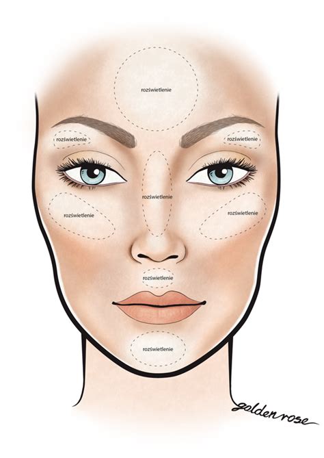 Blending 101 How To Blend Contour Correctly For A Sculpted Face Artofit