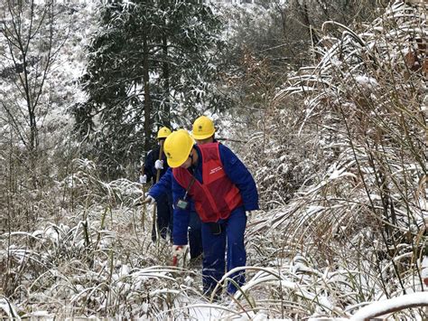 踏雪巡线 保供电安全 今日临安